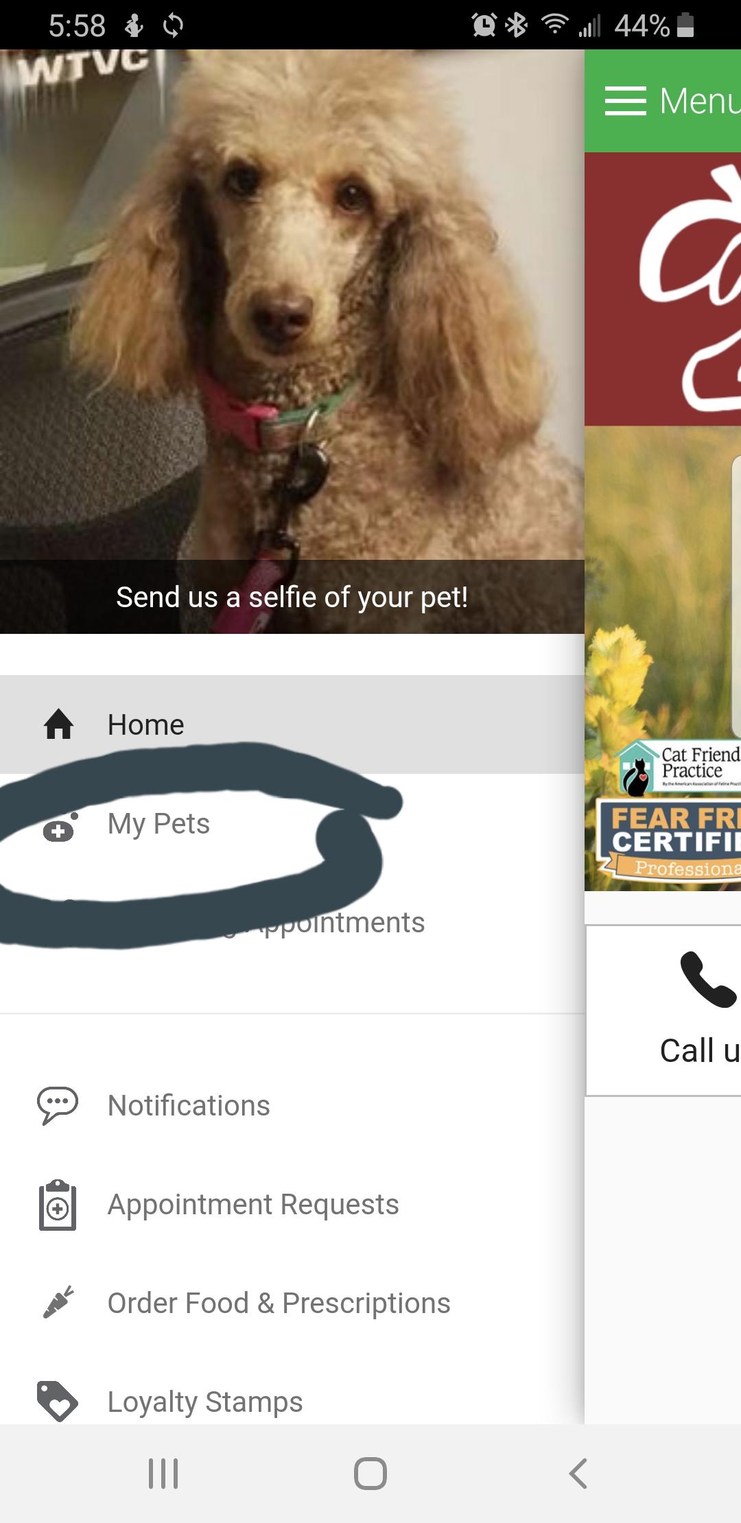 Access Your Pet's Medical Records - Applebrook Animal Hospital